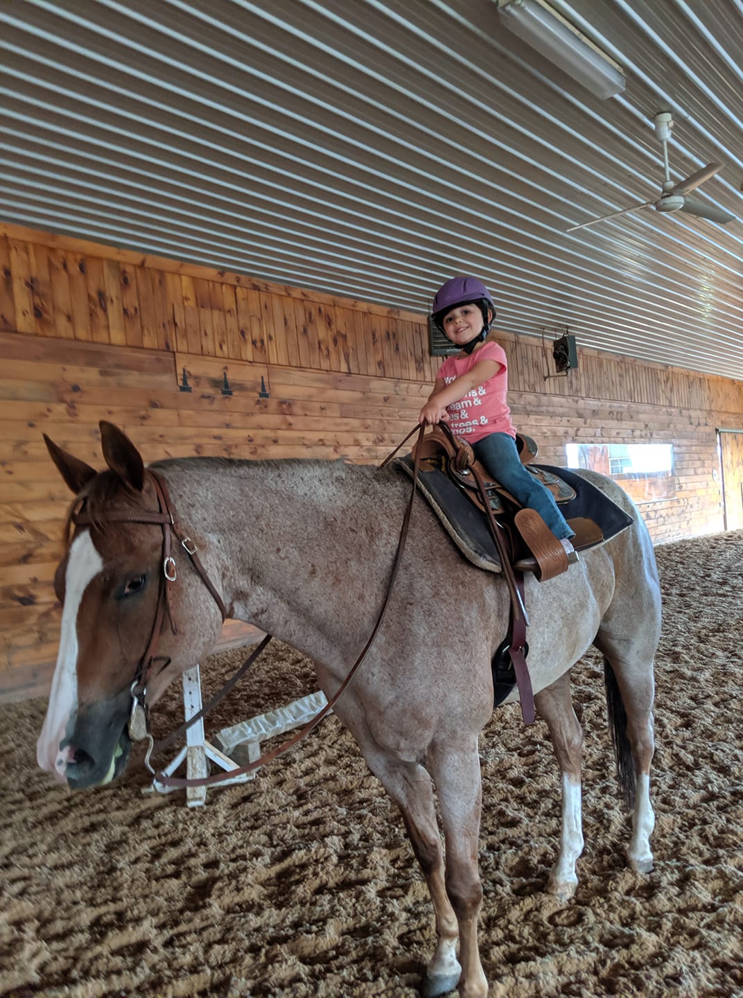 What Age Can Children Start Horseback Riding Lessons - The Flaxen Filly
