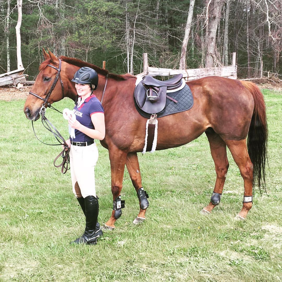 25 Awesome Equine Careers You'll Love! - The Flaxen Filly