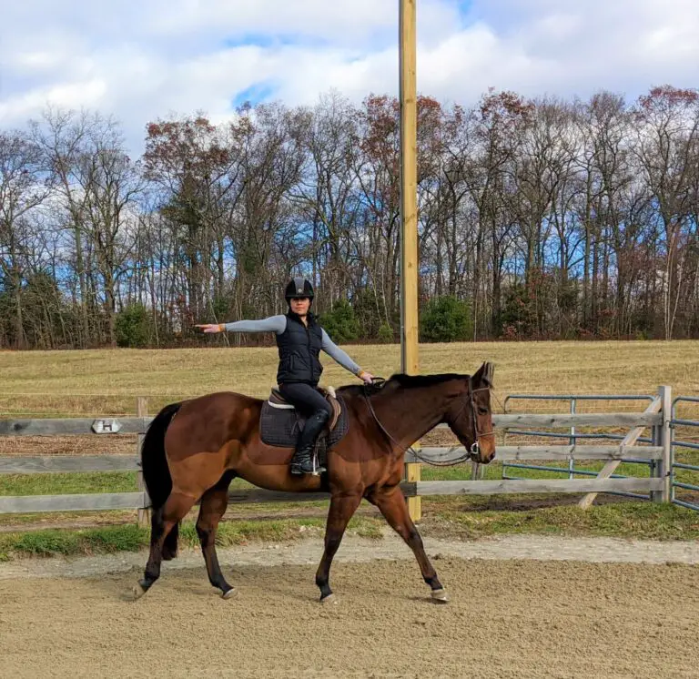 12 Mounted Horseback Riding Stretches To Do When You Ride - The Flaxen ...