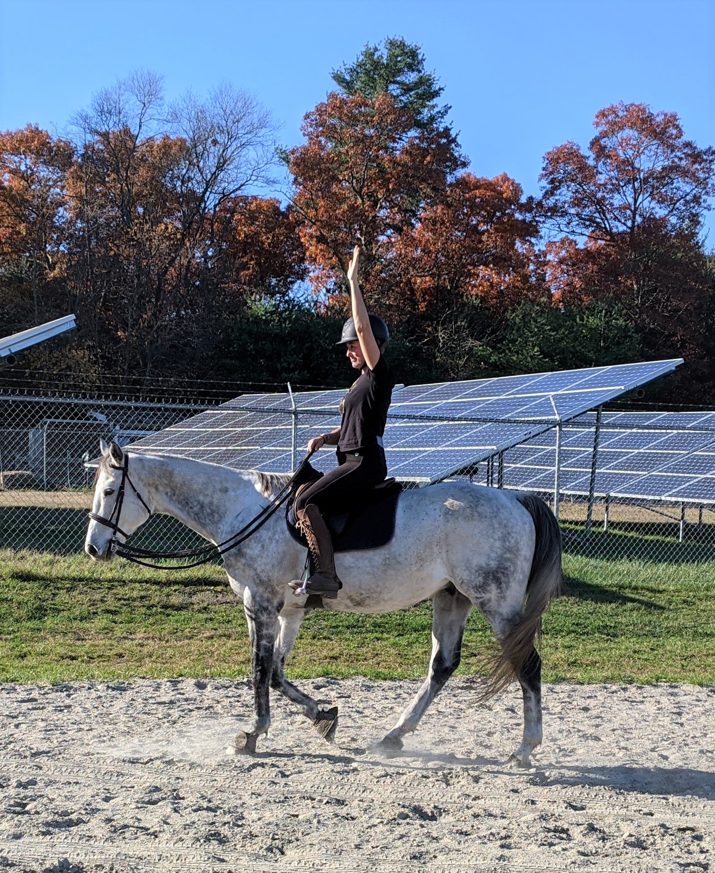 12 Mounted Horseback Riding Stretches To Do When You Ride - The Flaxen ...