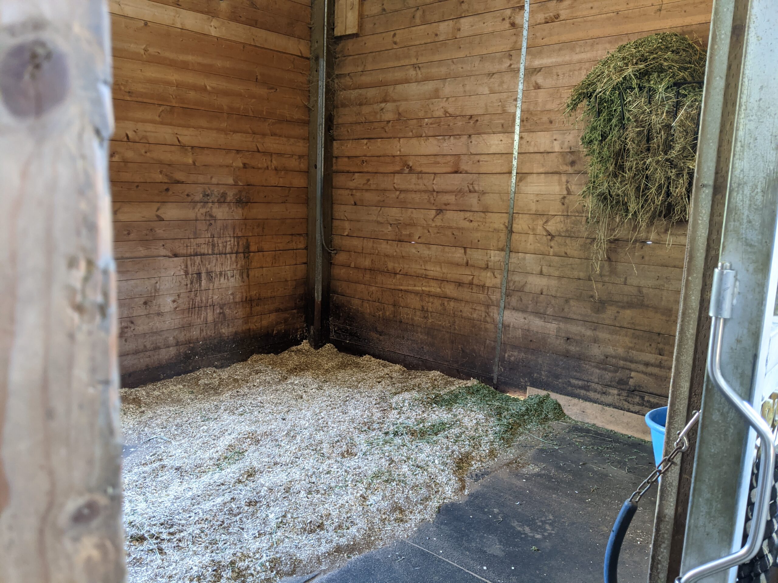 How To Choose A Boarding Barn For Your Horse - The Flaxen Filly