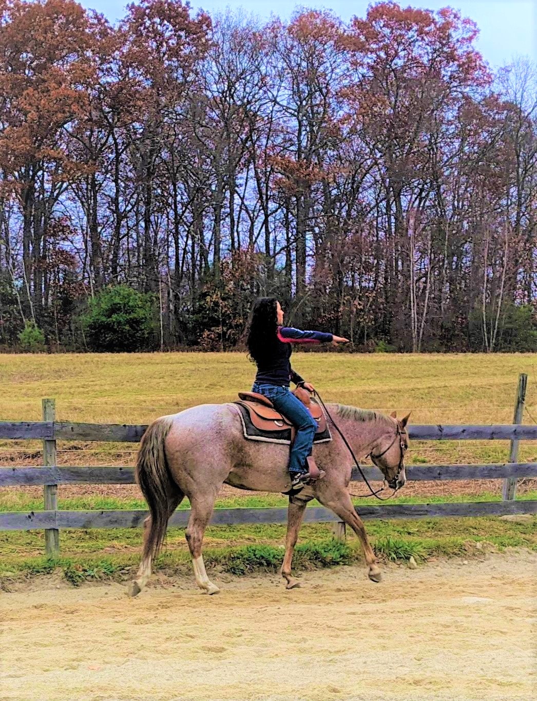 12 Mounted Horseback Riding Stretches To Do When You Ride - The Flaxen ...
