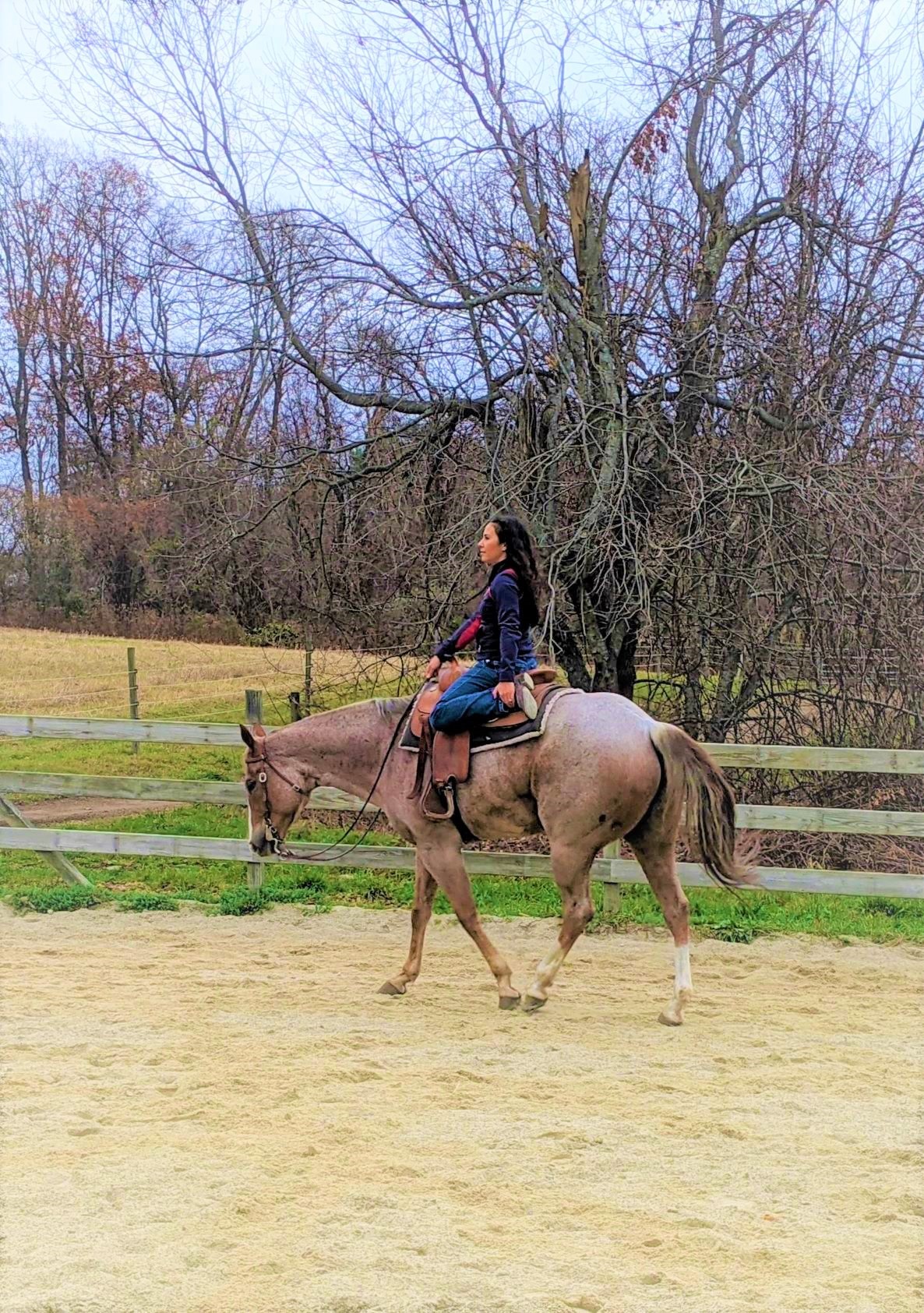 12 Mounted Horseback Riding Stretches To Do When You Ride - The Flaxen ...