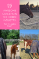 25 Awesome Equine Careers You'll Love! - The Flaxen Filly