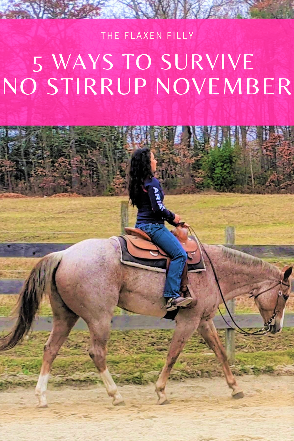 5 Tips To Remember For A Successful No Stirrup November - The Flaxen Filly
