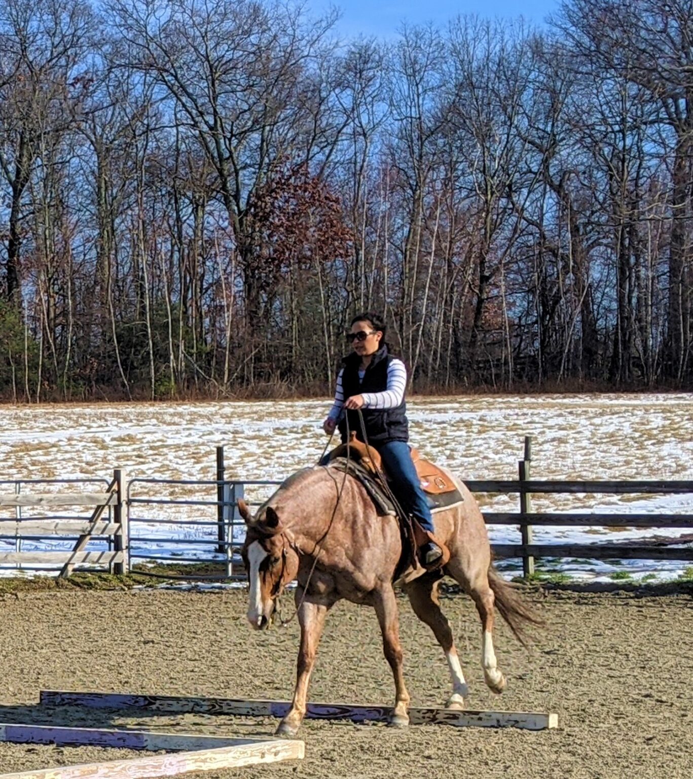 My 2021 Horseback Riding Goals And How To Set Yours - The Flaxen Filly