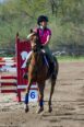 Horseback Riding English Vs. Western: 7 Key Differences - The Flaxen Filly