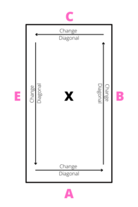 How To Pick Up The Correct Diagonal At The Trot - The Flaxen Filly