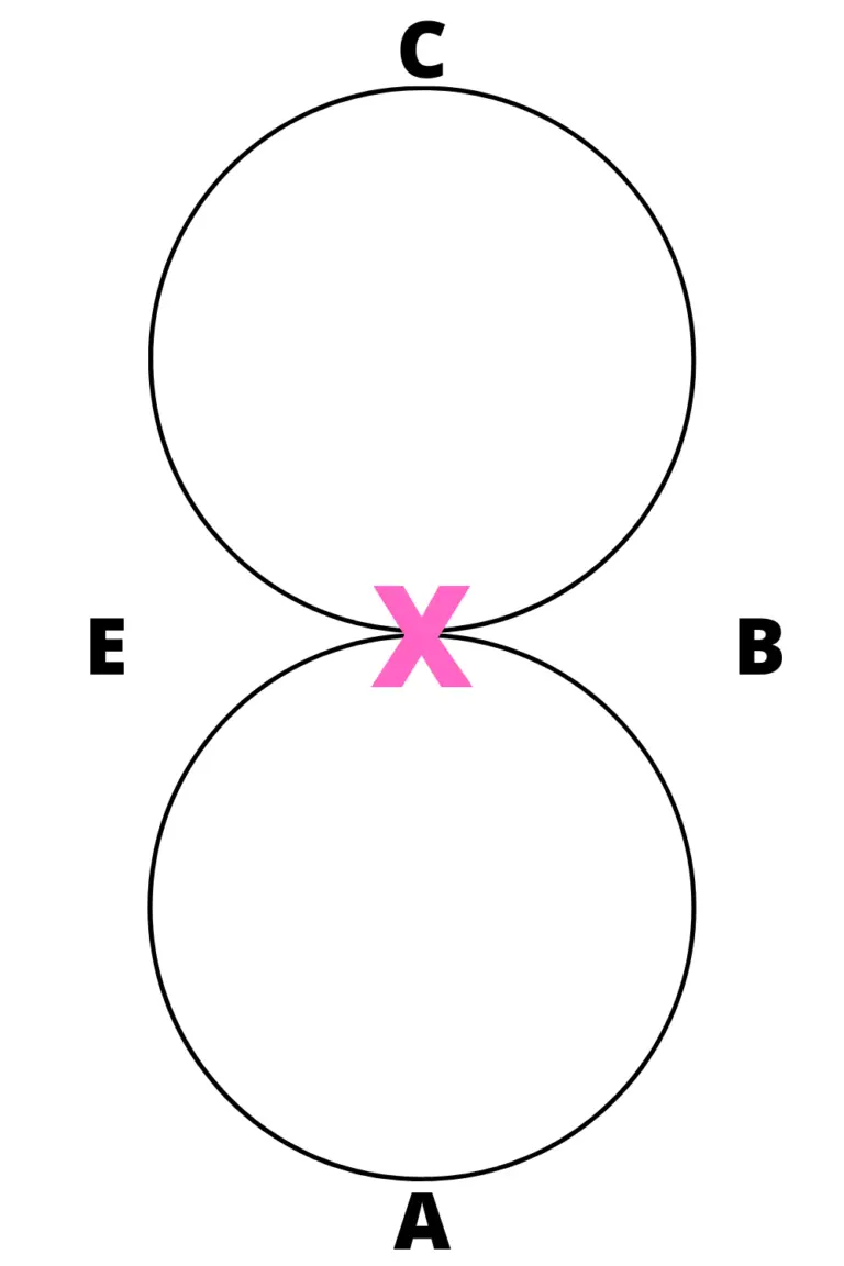 How To Pick Up The Correct Diagonal At The Trot - The Flaxen Filly