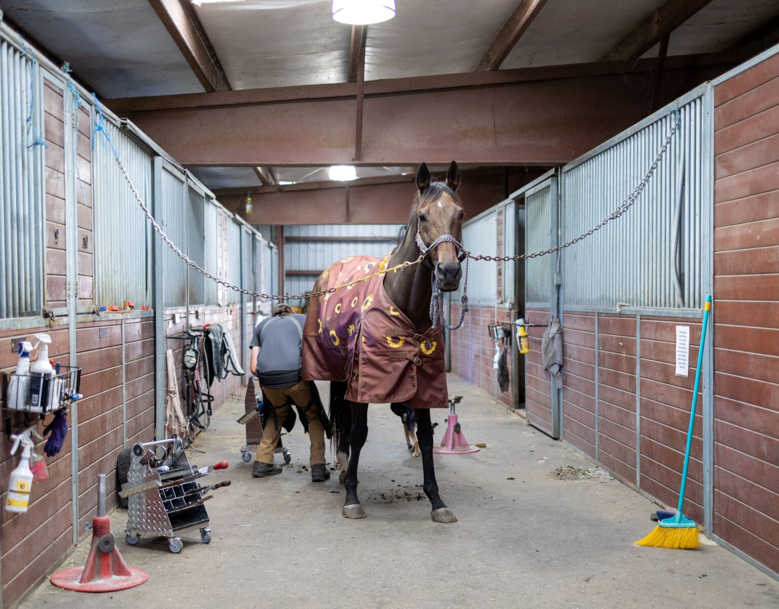 The Best Way To Manage A Horse Training Facility! - The Flaxen Filly