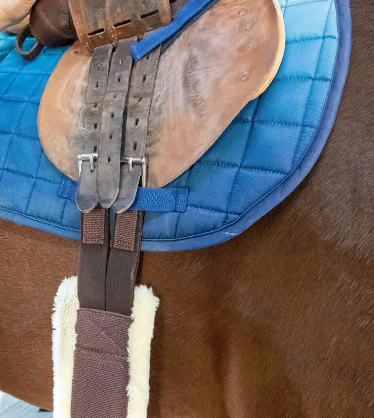 How To Tack Up Your Horse English, A Beginner's Guide - The Flaxen Filly