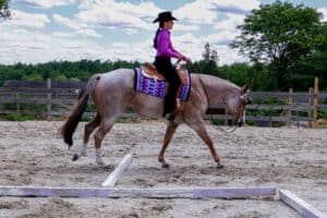 How To Tell Which Lead You're On: Tips For Canter & Lope - The Flaxen Filly