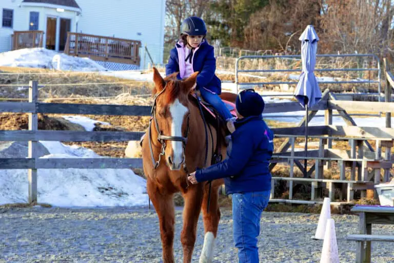 Top 20 Beginner Equestrian Mistakes To Avoid - The Flaxen Filly Top 20 Beginner Equestrian Mistakes To Avoid - The Flaxen Filly