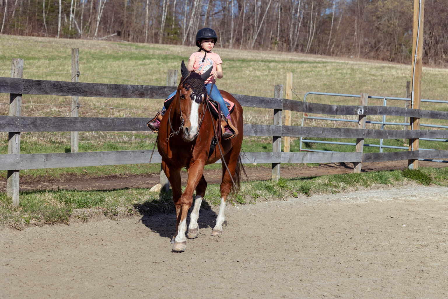Arena Etiquette 101: How To Ride Safely With Other Horses - The Flaxen ...