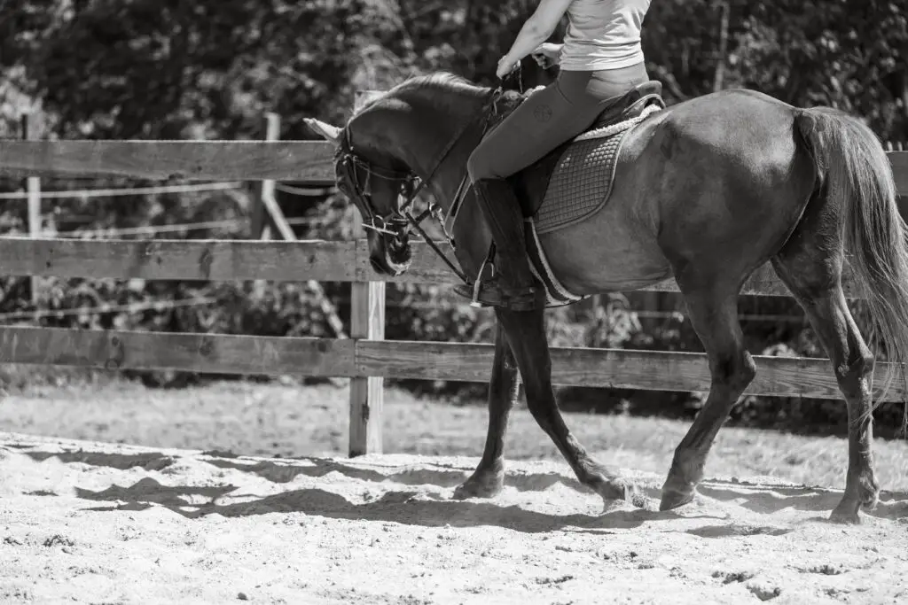 Can You Still Go Horseback Riding In The Rain? - The Flaxen Filly