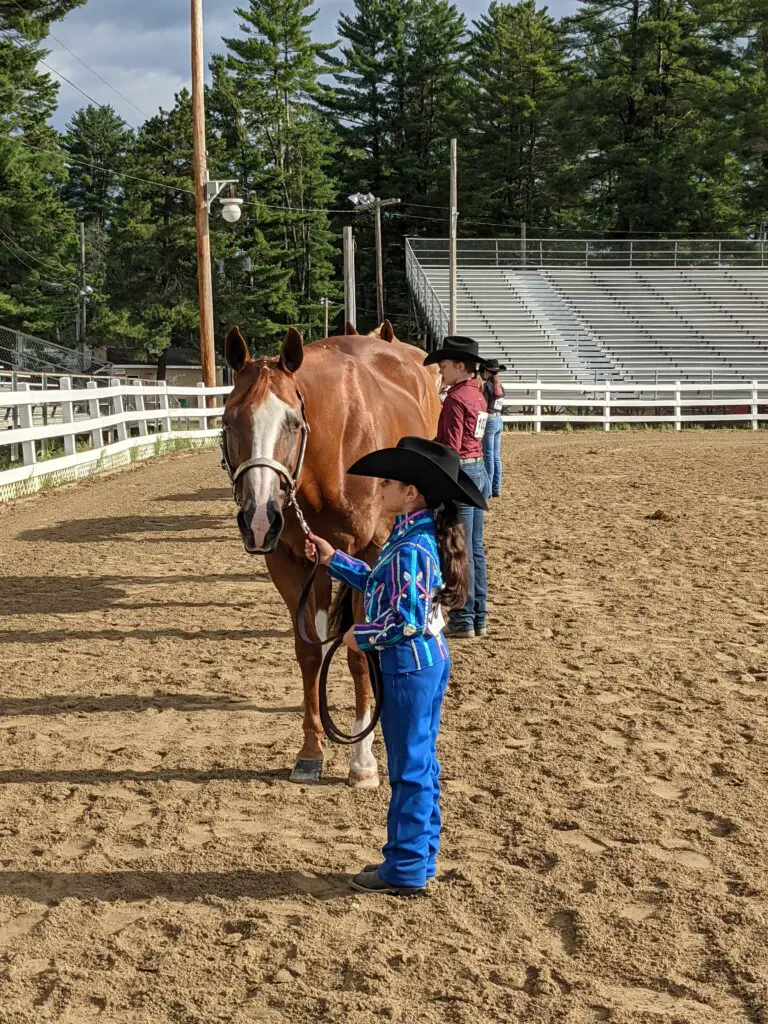 6 Tips To Conquer Show Ring Nerves - The Flaxen Filly